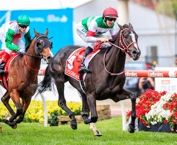 'My biggest achievement': Damian Lane on Japanese Derby win