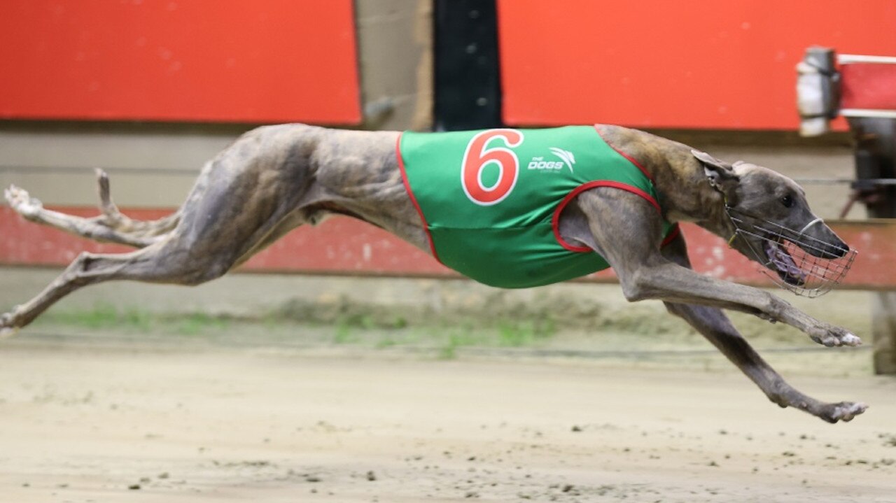 NSW stars vie for elusive The Phoenix slot - Racenet