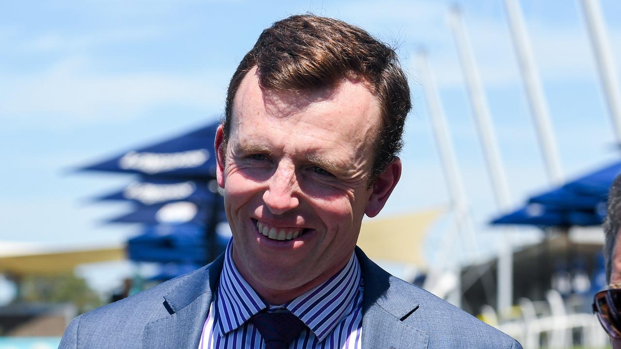 Greg Polson previews Taree Sunday - Racenet