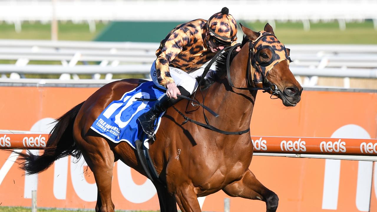 Rain to boost Effort in Cranbourne Cup - Racenet