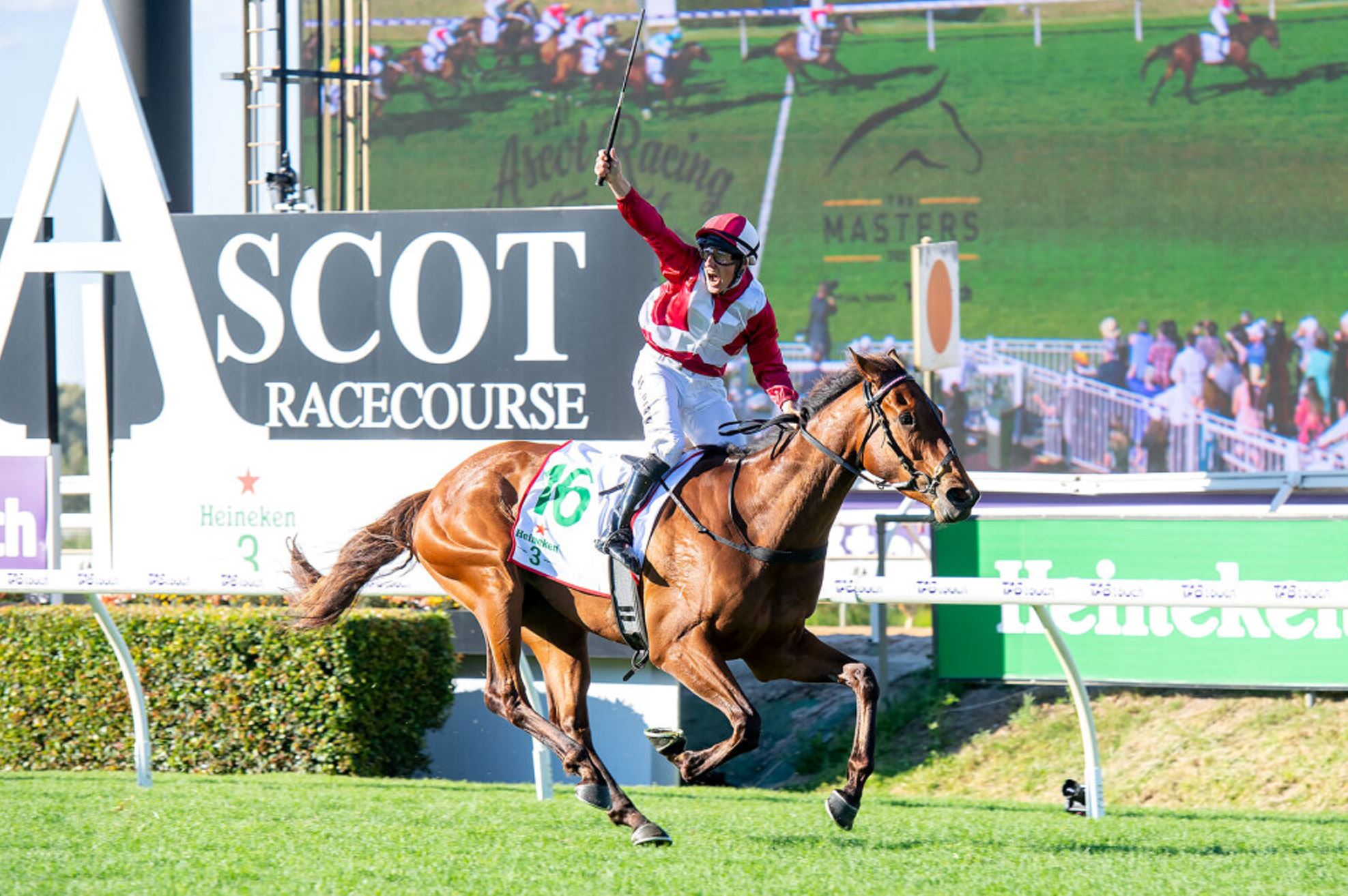 Railway Stakes 2022 | Tips, Odds, Field & Results | Racenet