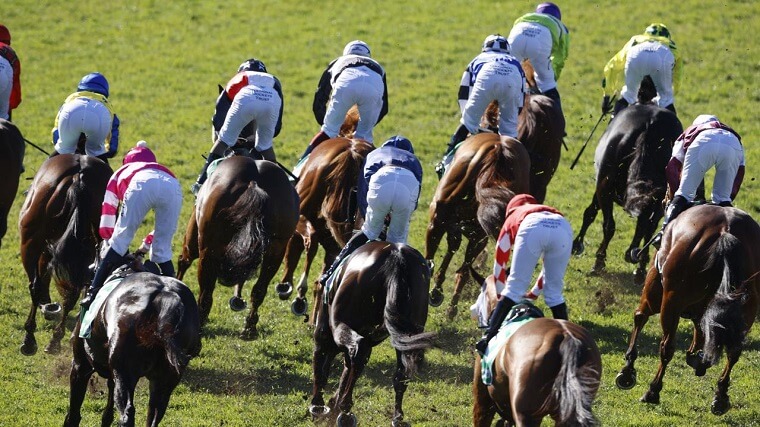 What is a Same Race Multi? [Multi Tips] | Racenet