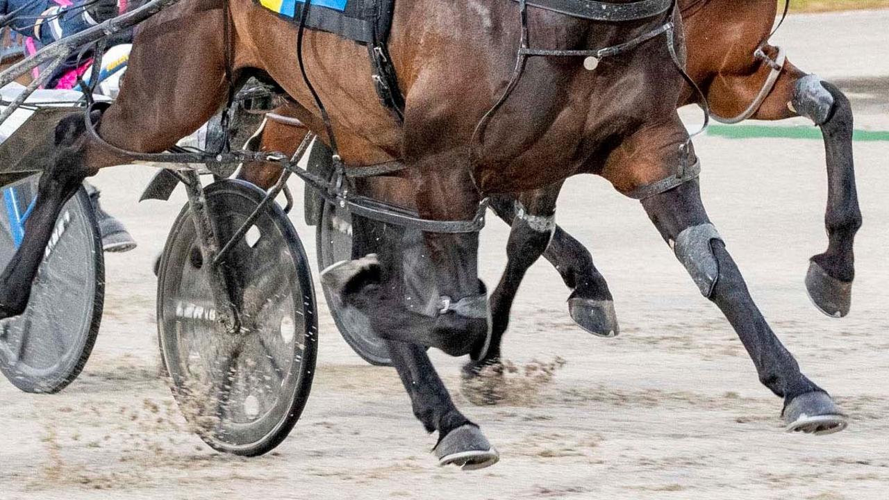 Complaint over handling of harness race-fixing probe - Racenet