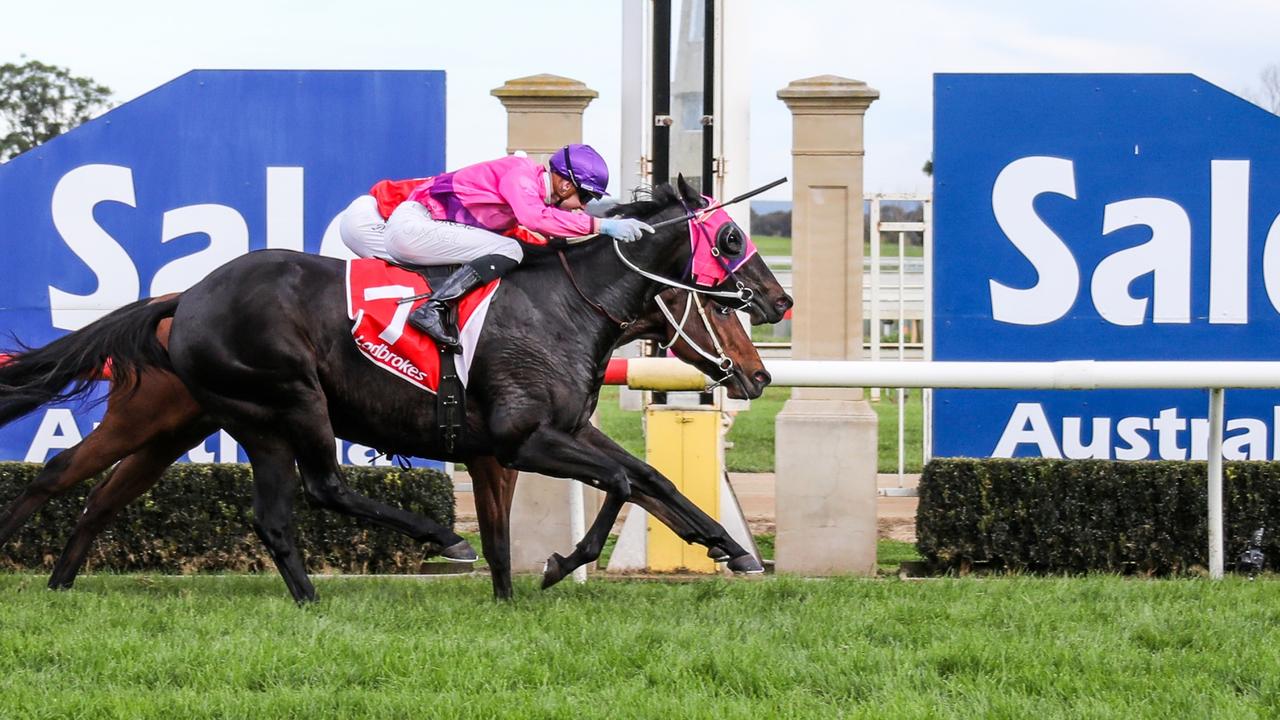 Bumper $1.4m card for inaugural Good Friday meeting - Racenet