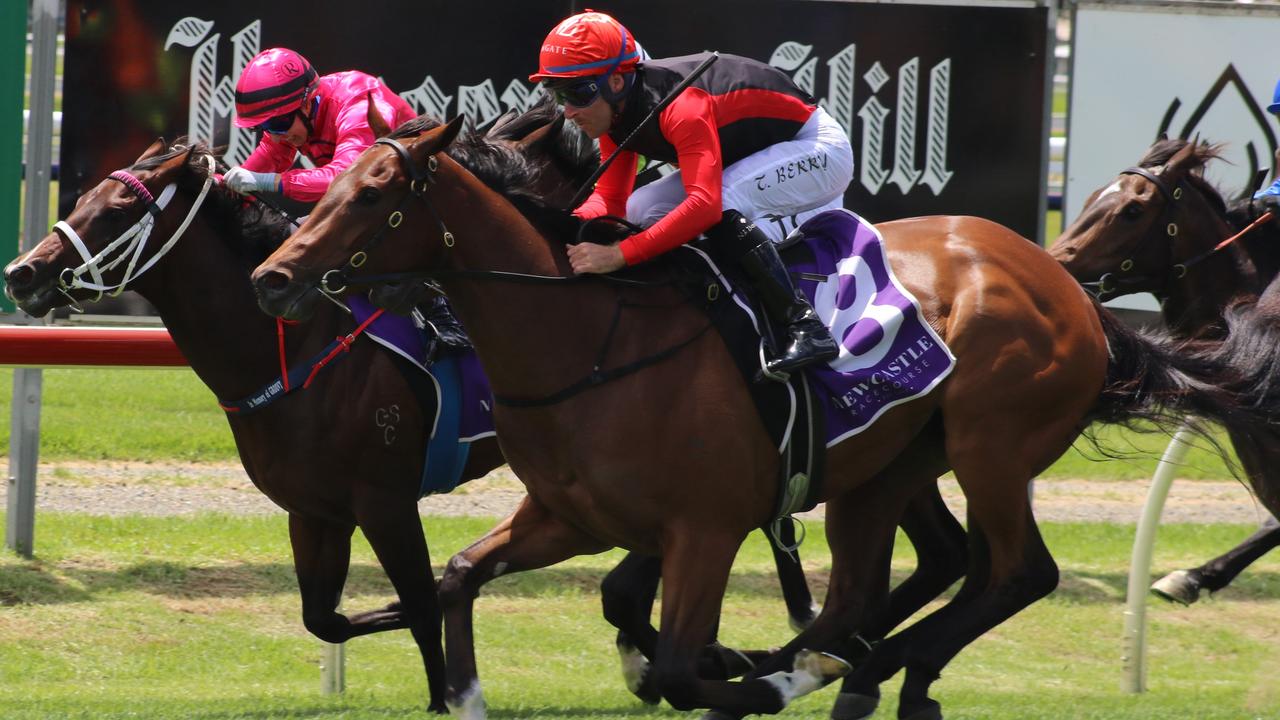 Conquest to push for Magic Millions start - Racenet