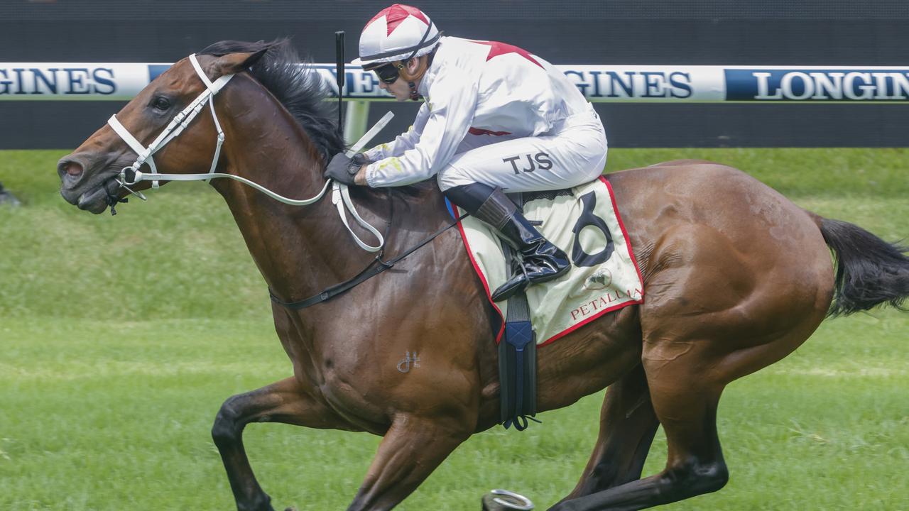 Star apprentice continues on his winning way - Racenet