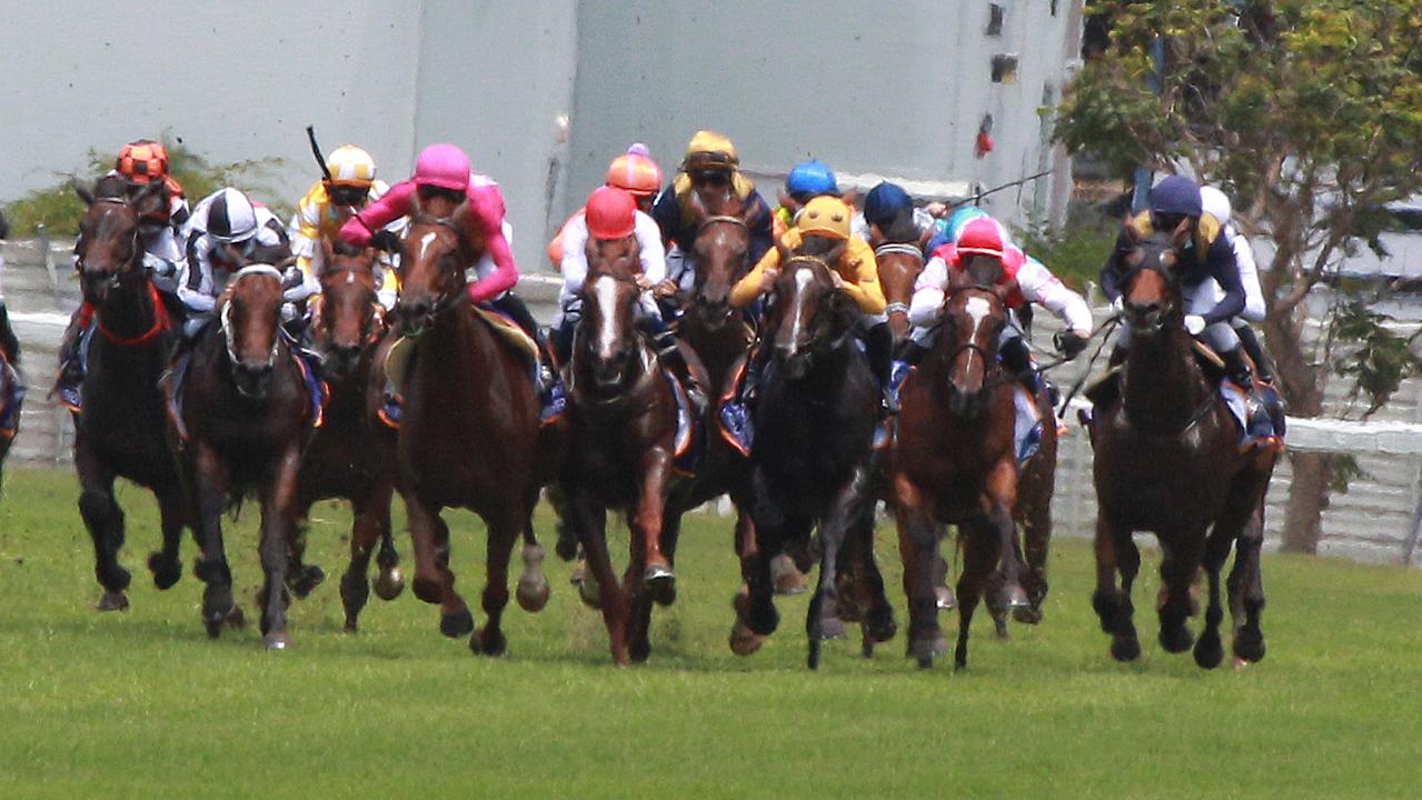 New races added to 2023 Magic Millions - Racenet