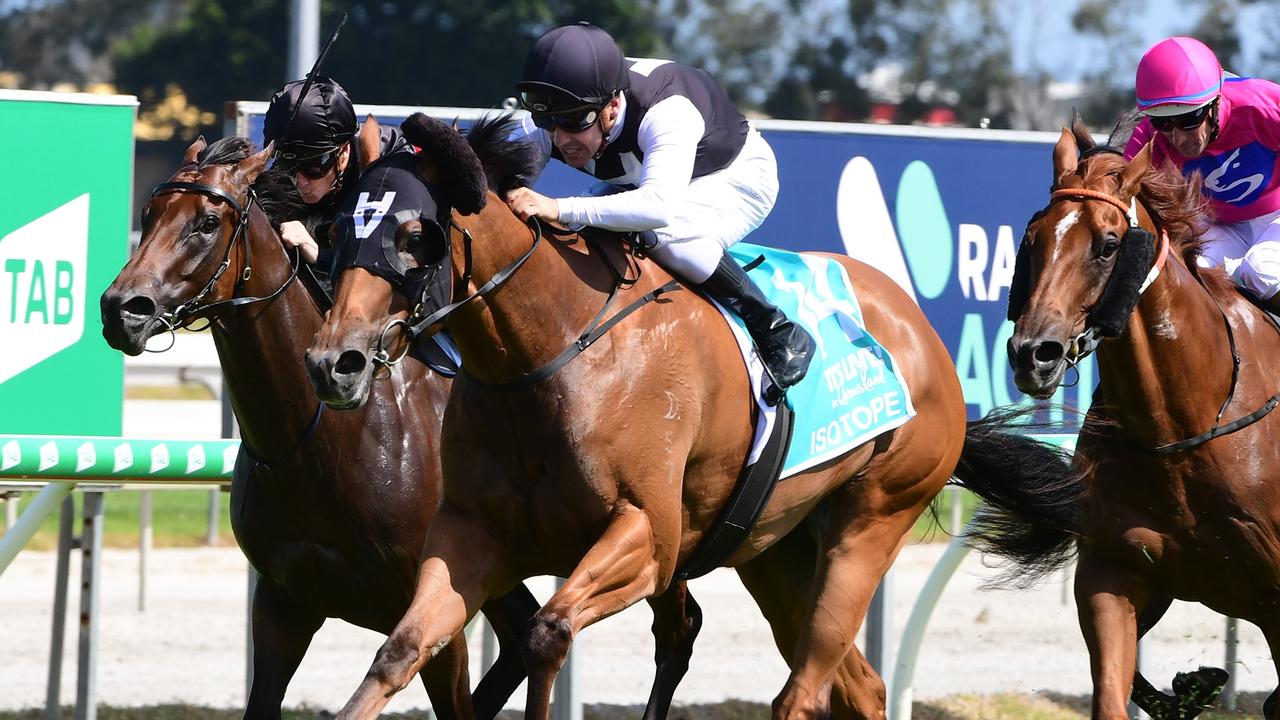 Horses to follow from Magic Millions day - Racenet