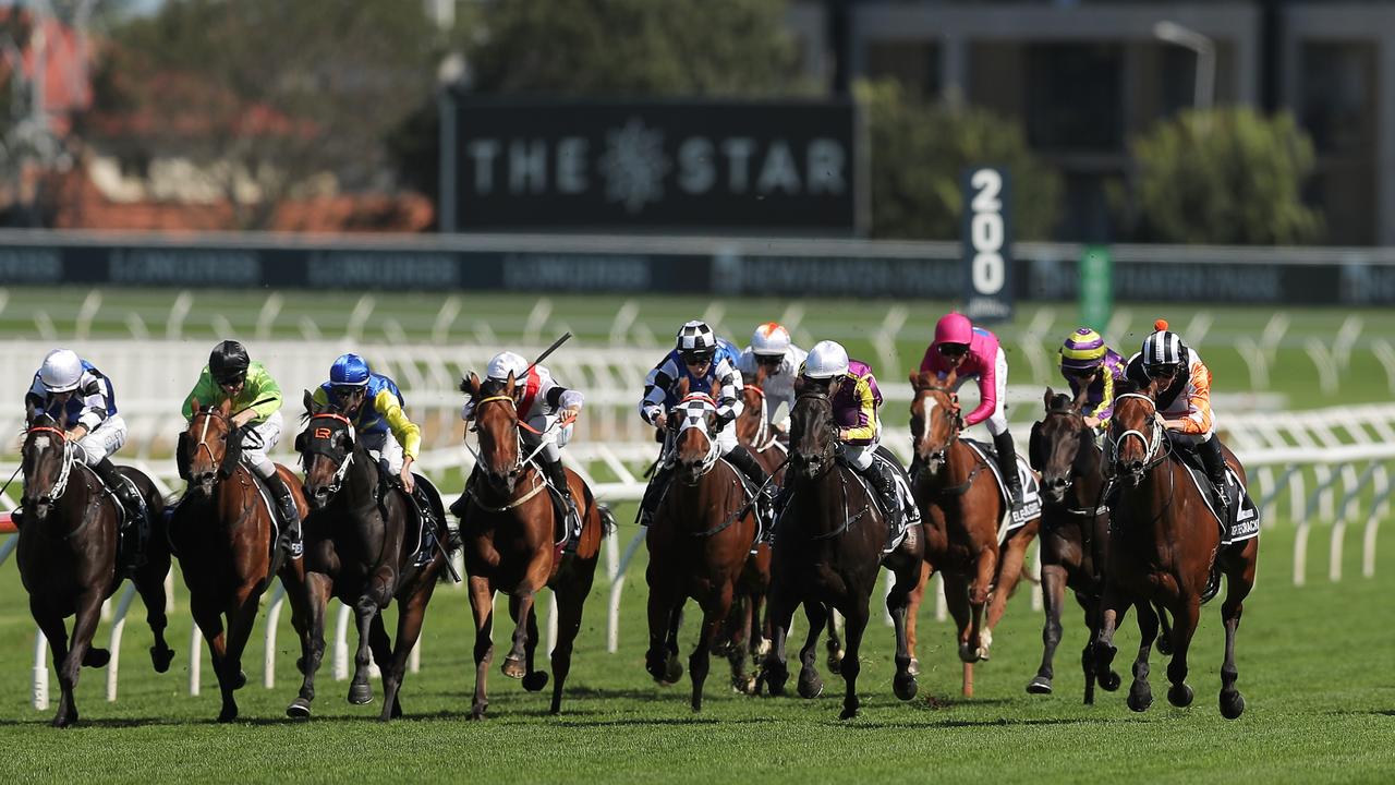 Midway-eligible horses can now compete in Provincial Championships ...