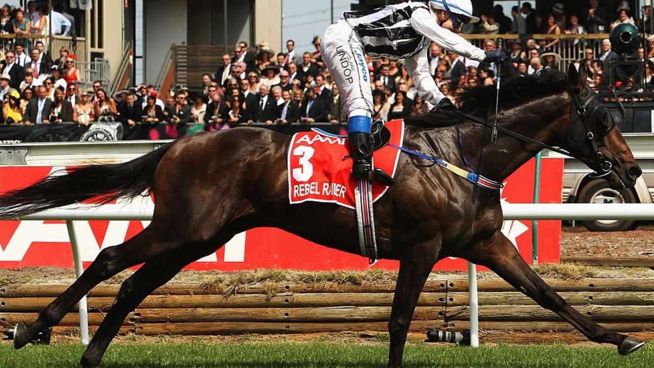 Rebel Raider filly can continue dad's legacy - Racenet