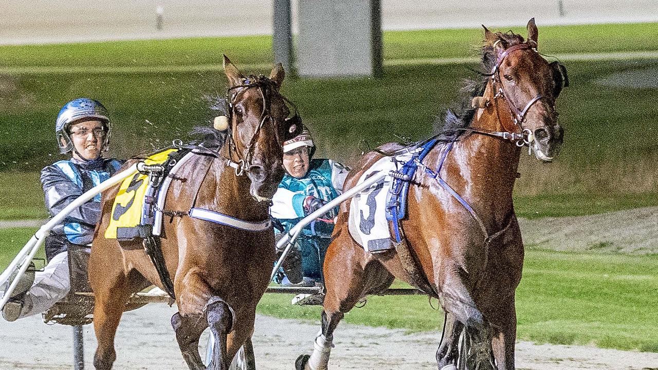 Stablemate challenge to Tornado's Southern Star three-peat bid - Racenet