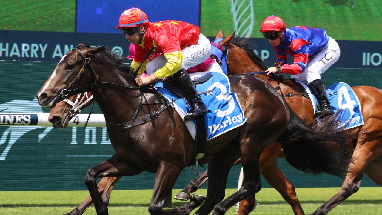 Snowden's duo ready to Stampede the Inglis Millennium - Racenet