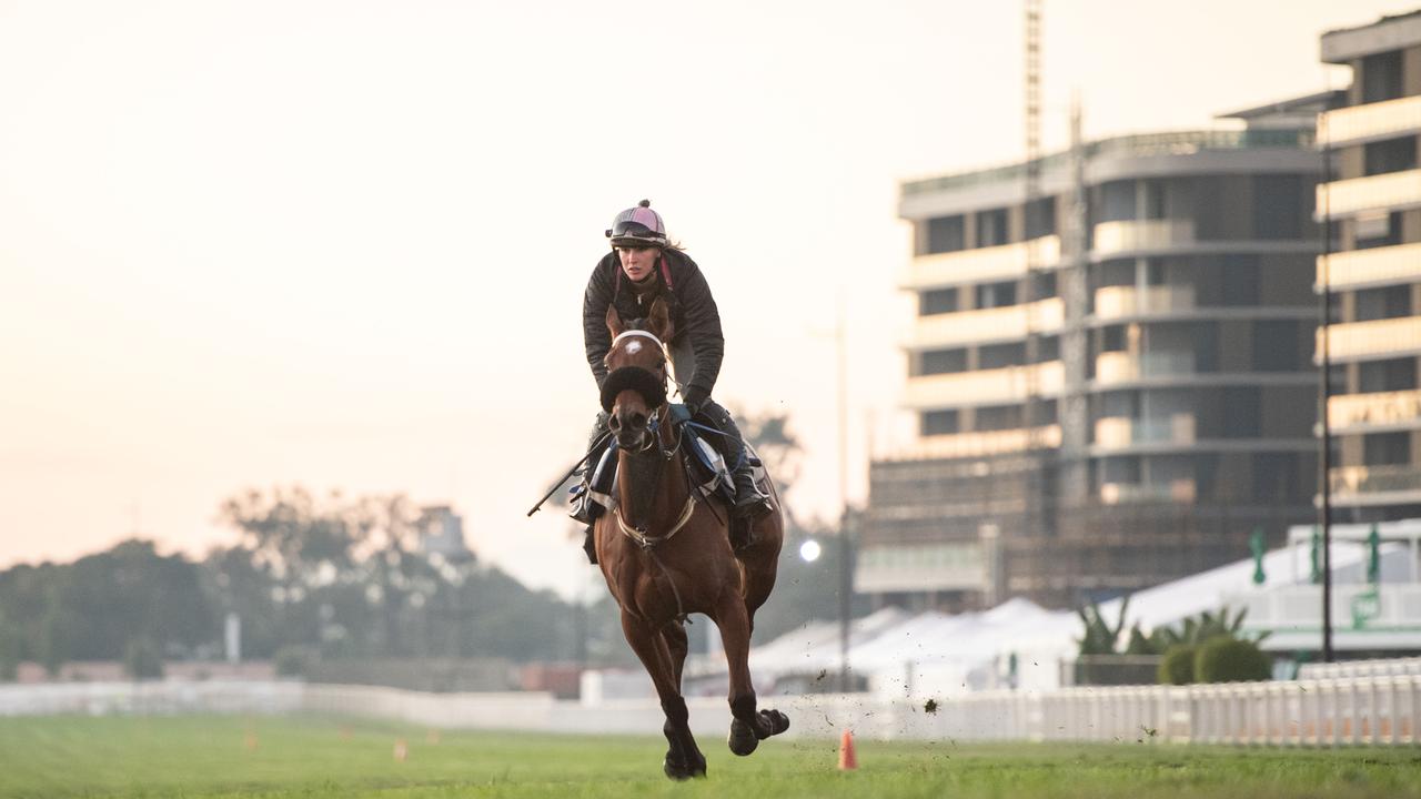 Participants invited to inspect Eagle Farm track ahead of return - Racenet