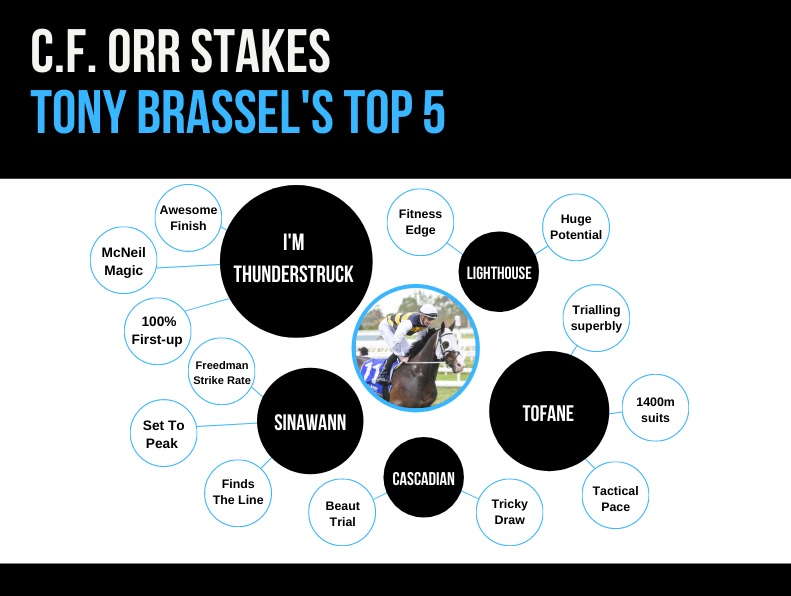 Tony Brassel previews the C.F Orr Stakes - Racenet