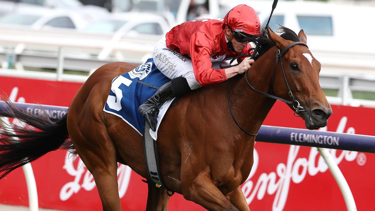 McEvoy declares Minhaaj in ‘ripping order' for Plate - Racenet