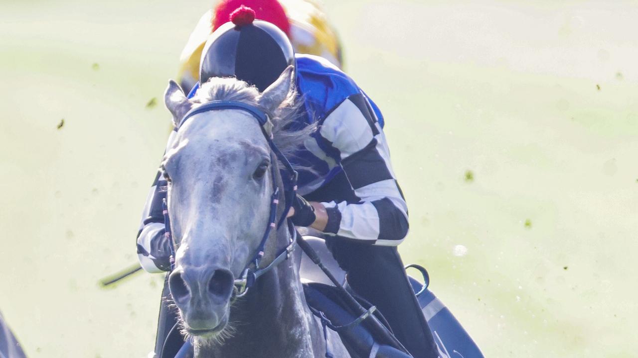 Neasham gives her striking import Top marks - Racenet