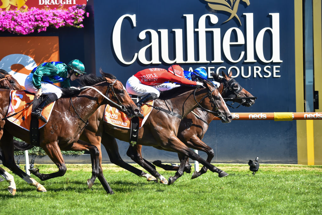 Blue Diamond Stakes 2023 | Tips, Odds, Field & Results | Racenet