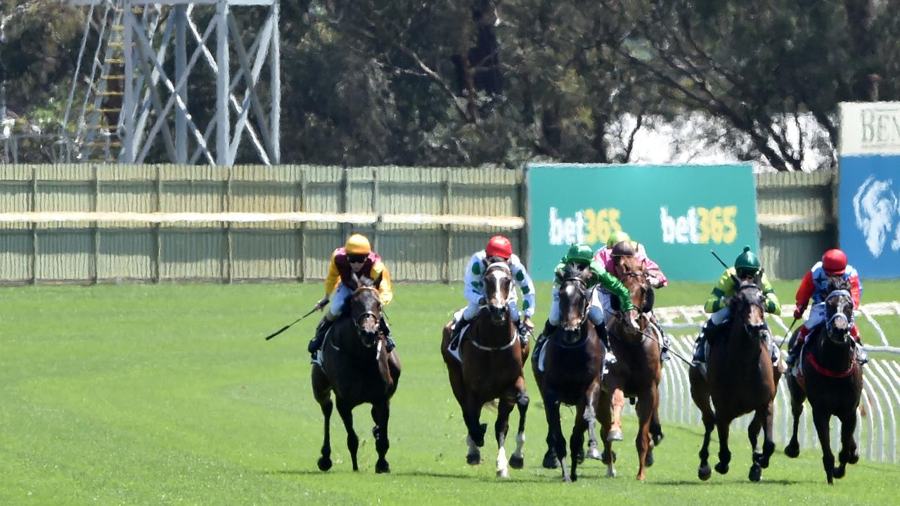 Pro Punter The Guru's top bets for Bendigo Tuesday - Racenet