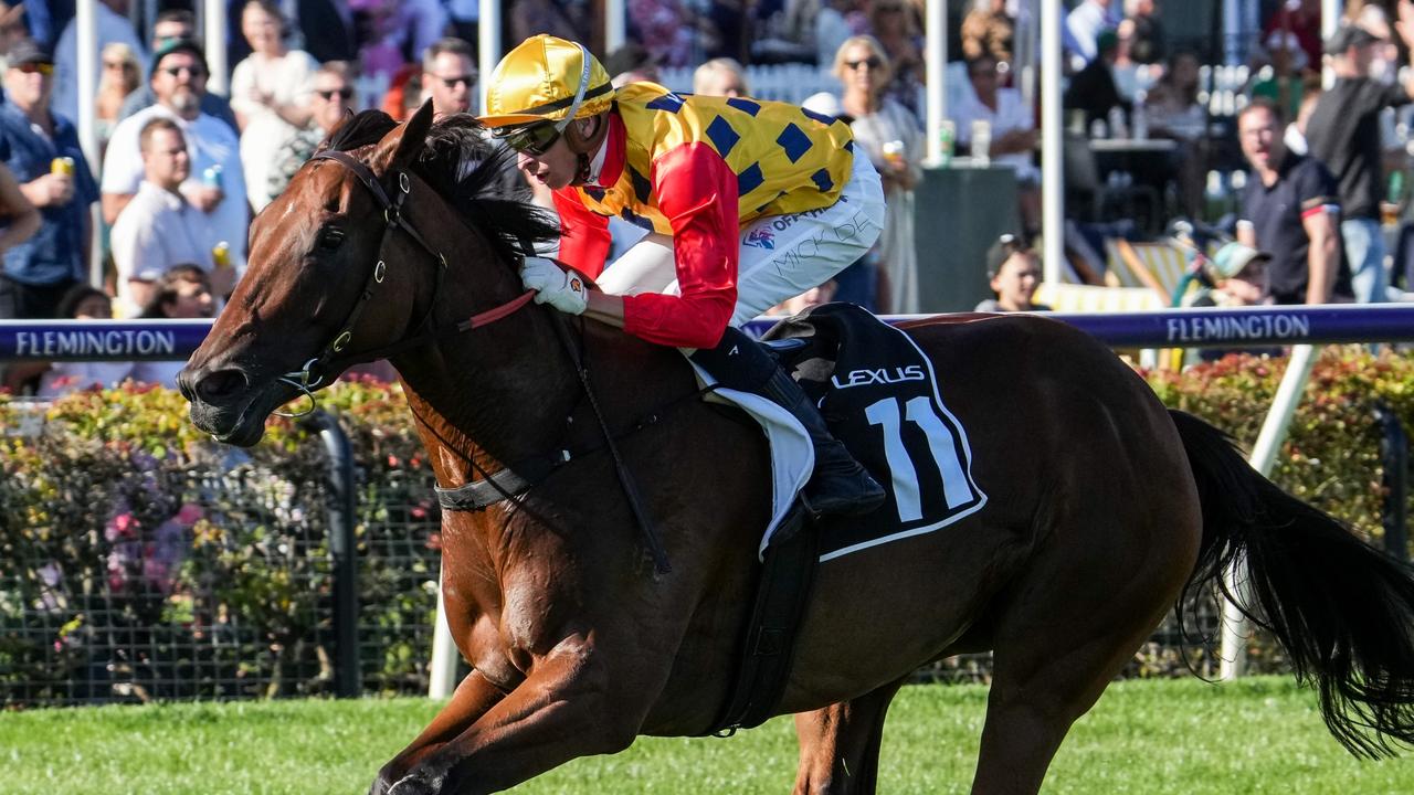 Weekend Best Bets: Straight specialist comes up Roses - Racenet