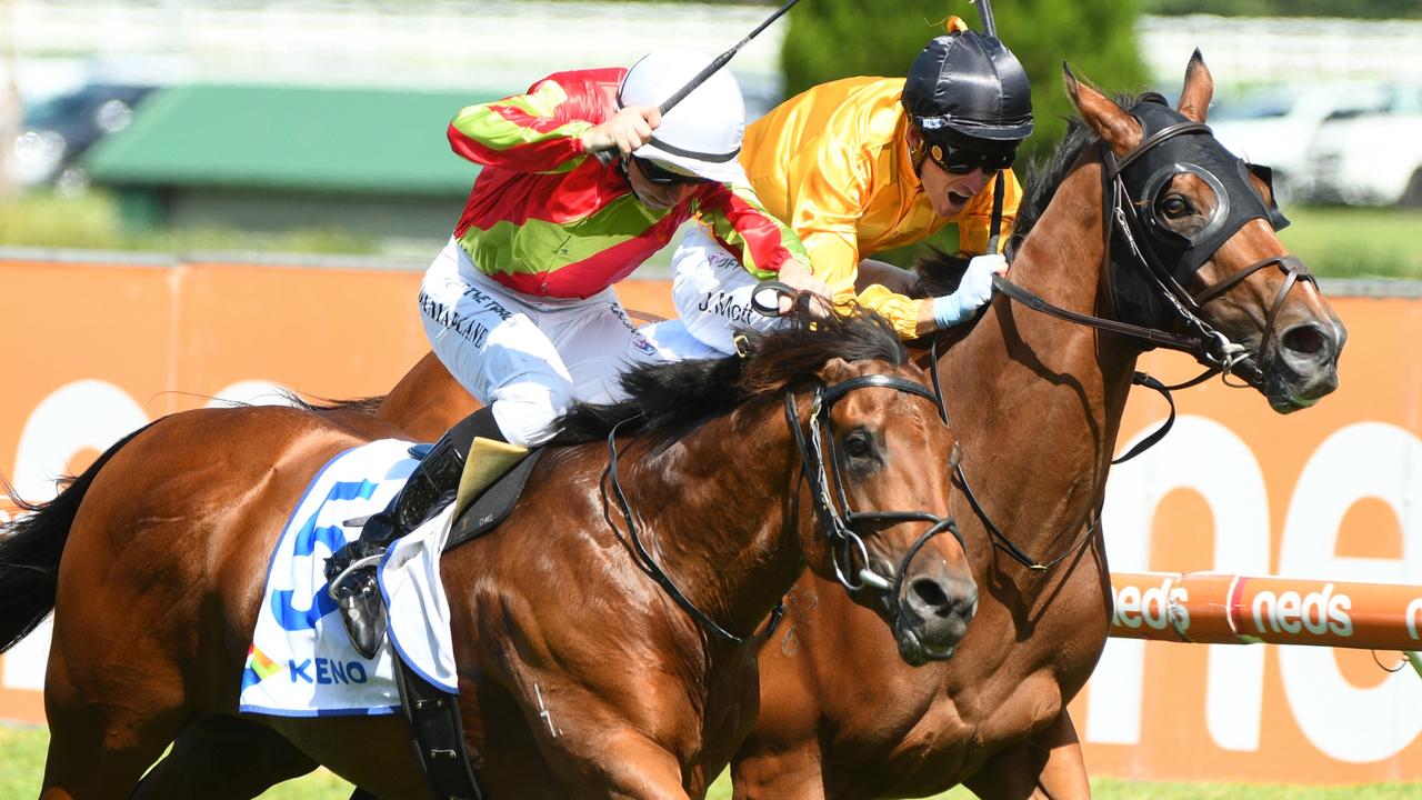 Callsign Mav will give Cup rivals something to chase - Racenet