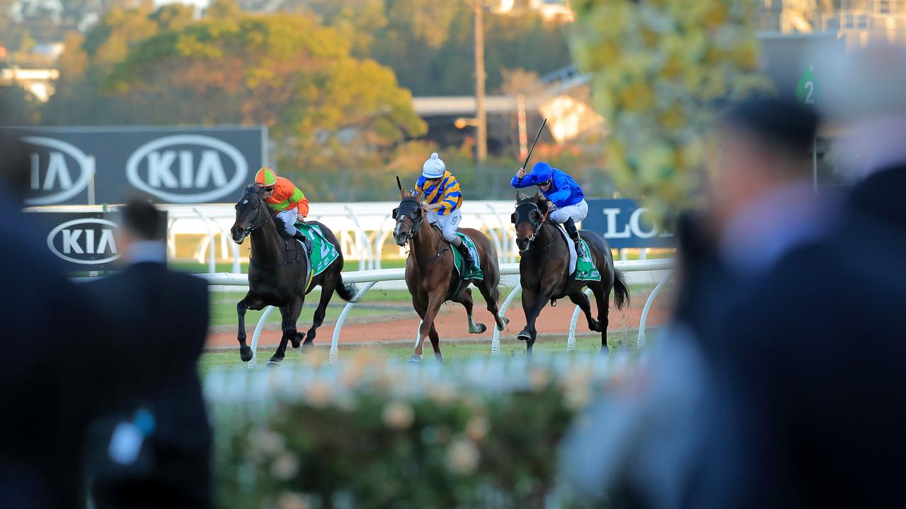 Australia's biggest Group 1 meeting ready to go - Racenet
