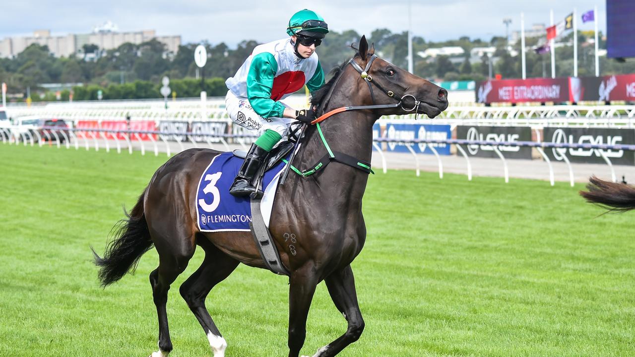 Group 1 colt Profondo sent for a spell - Racenet