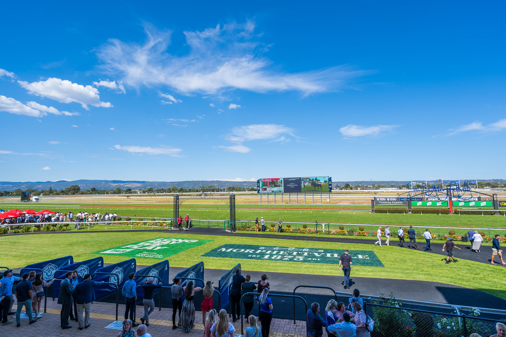 Thoroughbred Horse Racing Tips and Best Bets for Morphettville