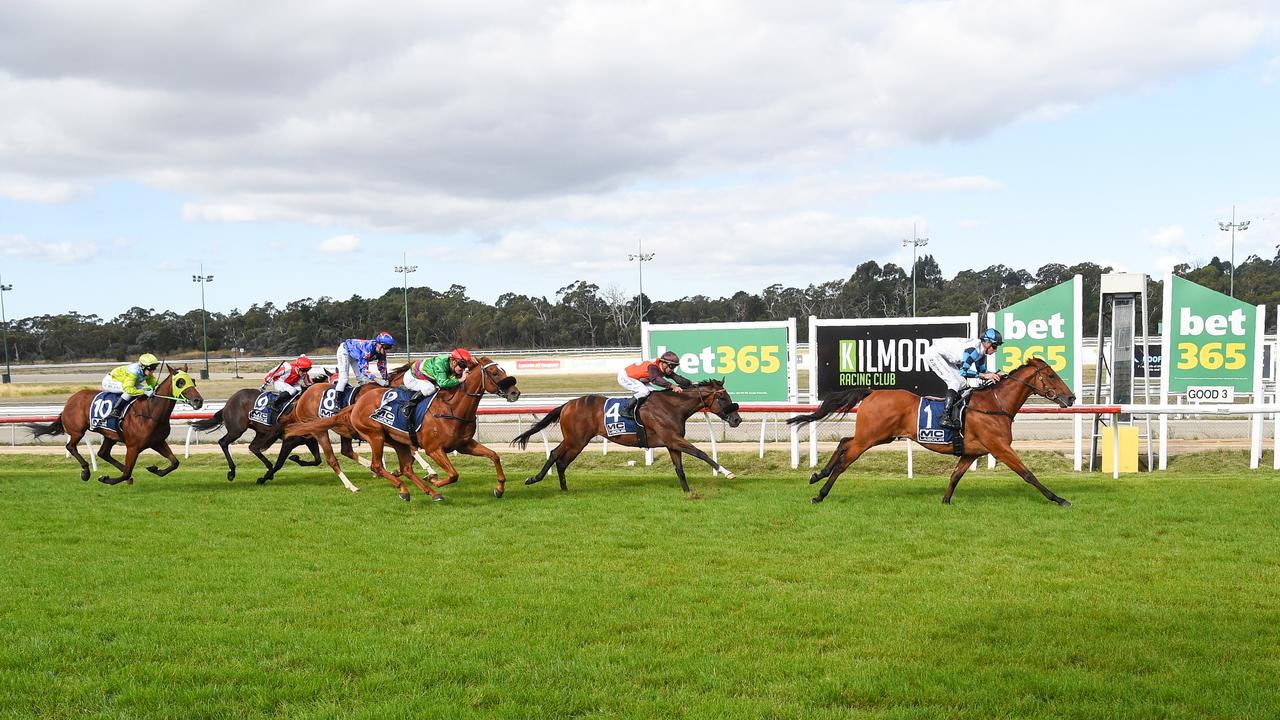 Pro Punter The Guru's best bets for Kilmore Thursday - Racenet
