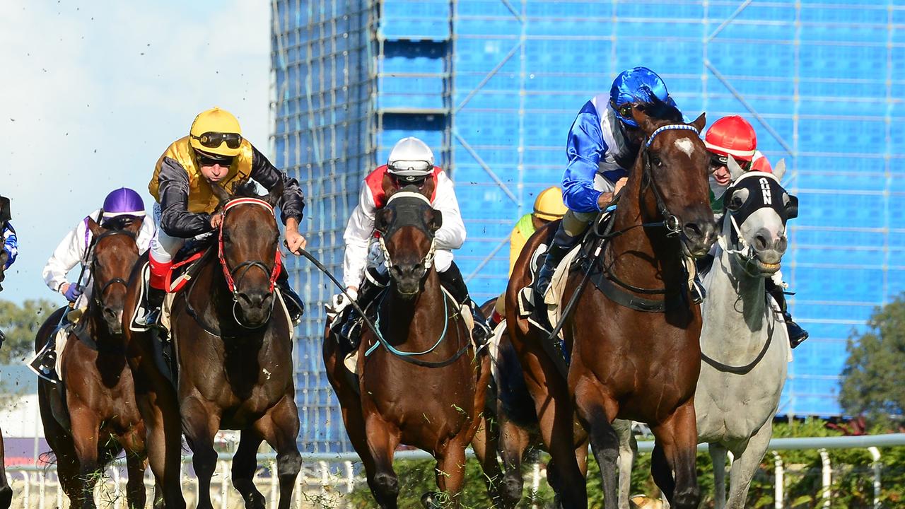 Graeme Carey previews Doomben Saturday - Racenet