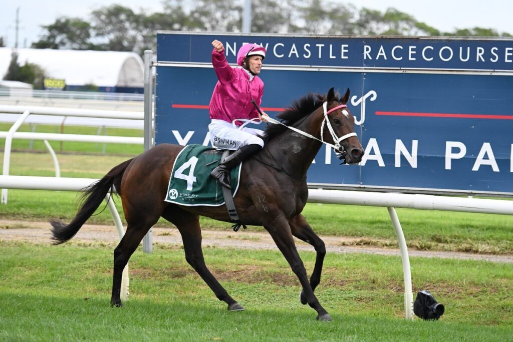 Vinery Stud Stakes 2023 | Tips, Odds, Field & Results | Racenet