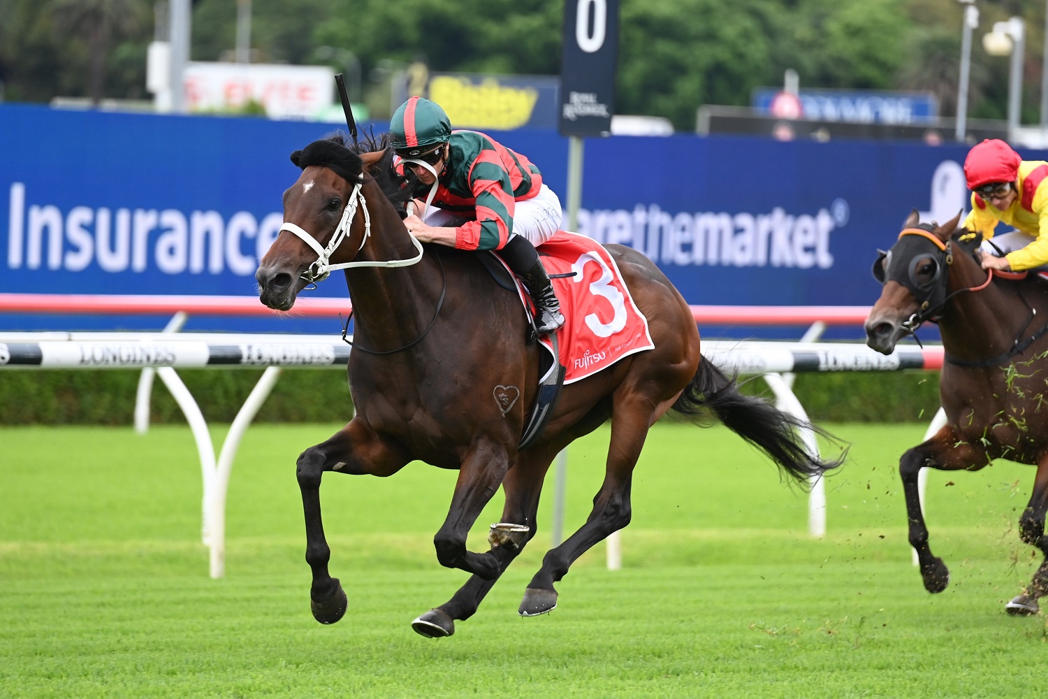 Post-race jockey reports after the Carbine Club Stakes