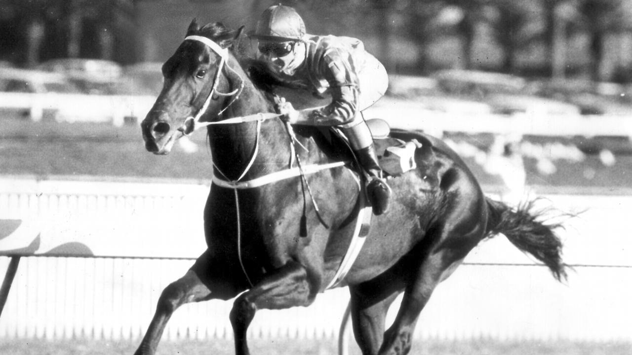 Hitotsu a star but still a long way to go for greatness - Racenet