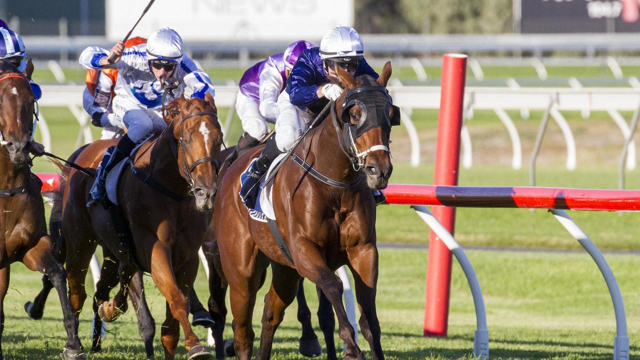 Harleymoven keeps SA Derby dream alive - Racenet