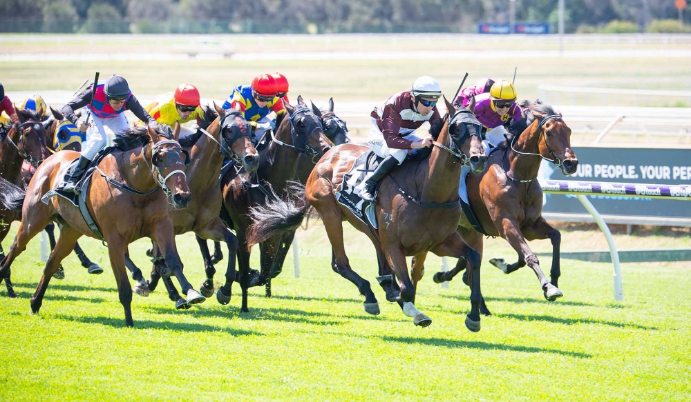 Top bets from Aaron Mills for Ascot Saturday - Racenet