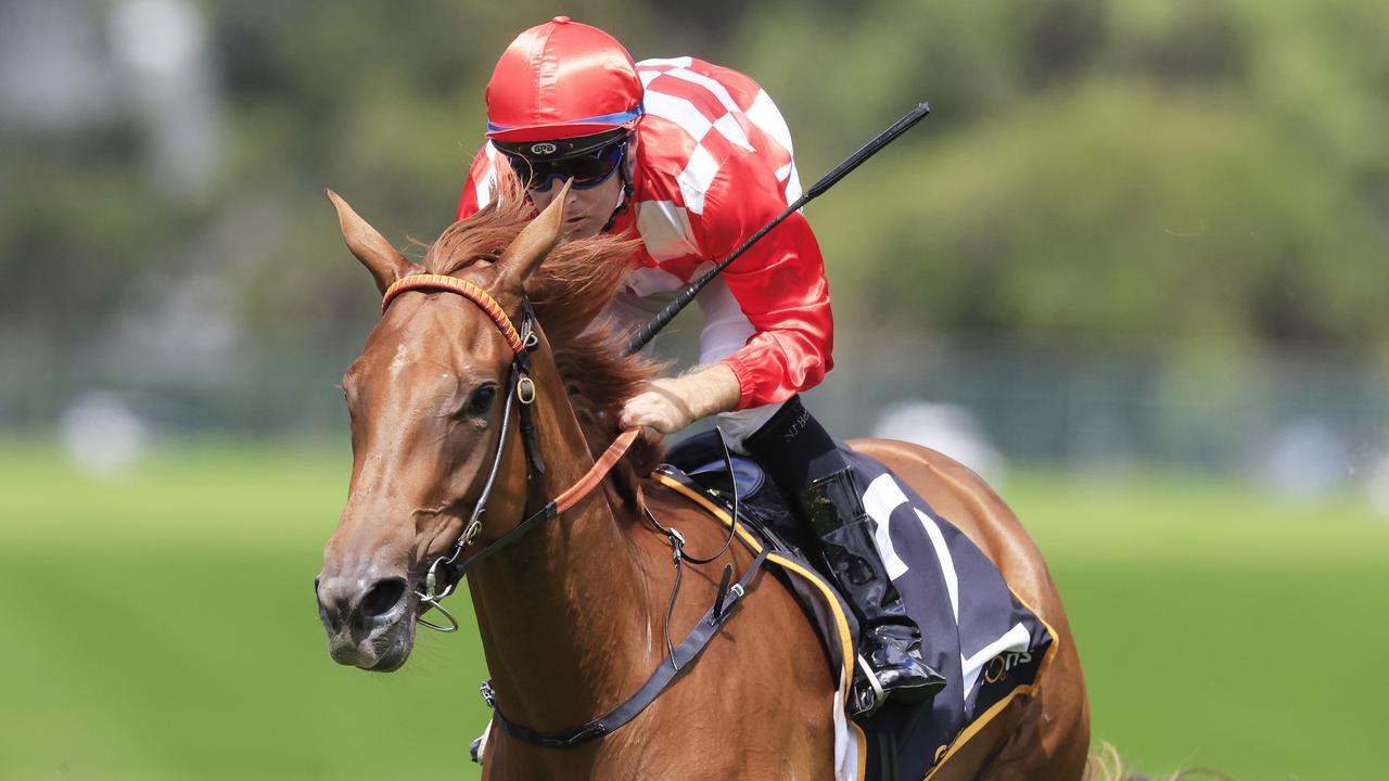 Cummings contemplates: Where do I find a length and a half? - Racenet