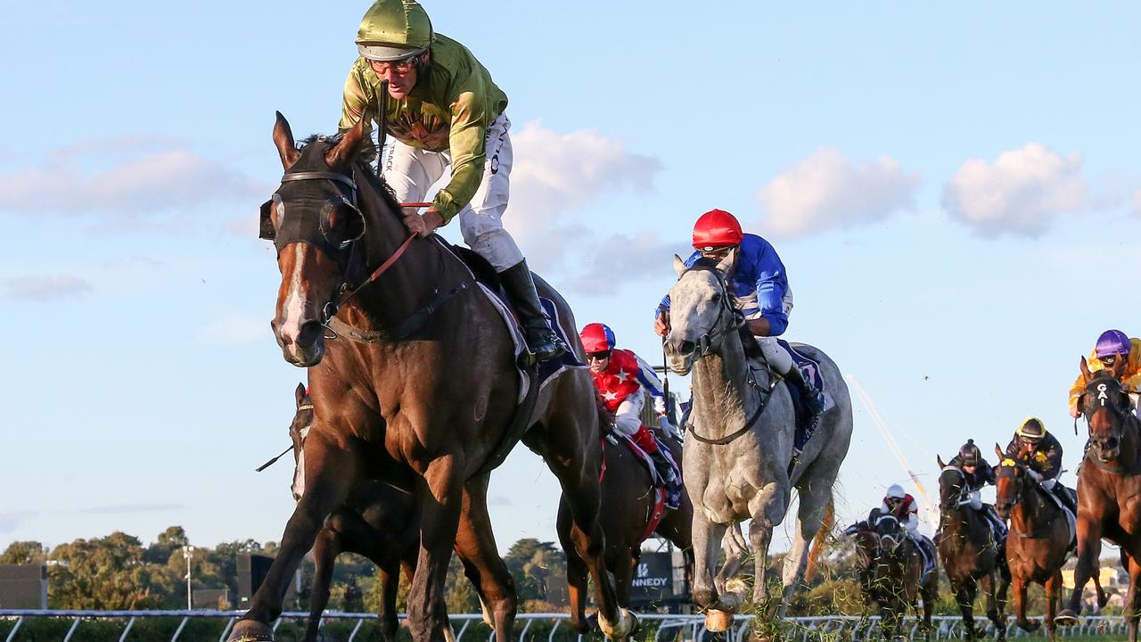 Cummings takes aim on Melbourne Cup after St Leger - Racenet