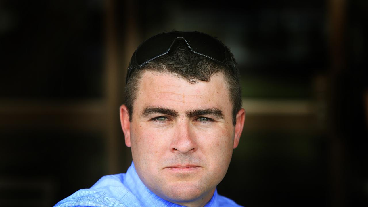Gunnedah preview: Shikanic to show his true self - Racenet