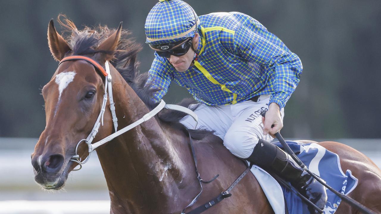 Steel claims Scone Cup to qualify for Big Dance - Racenet