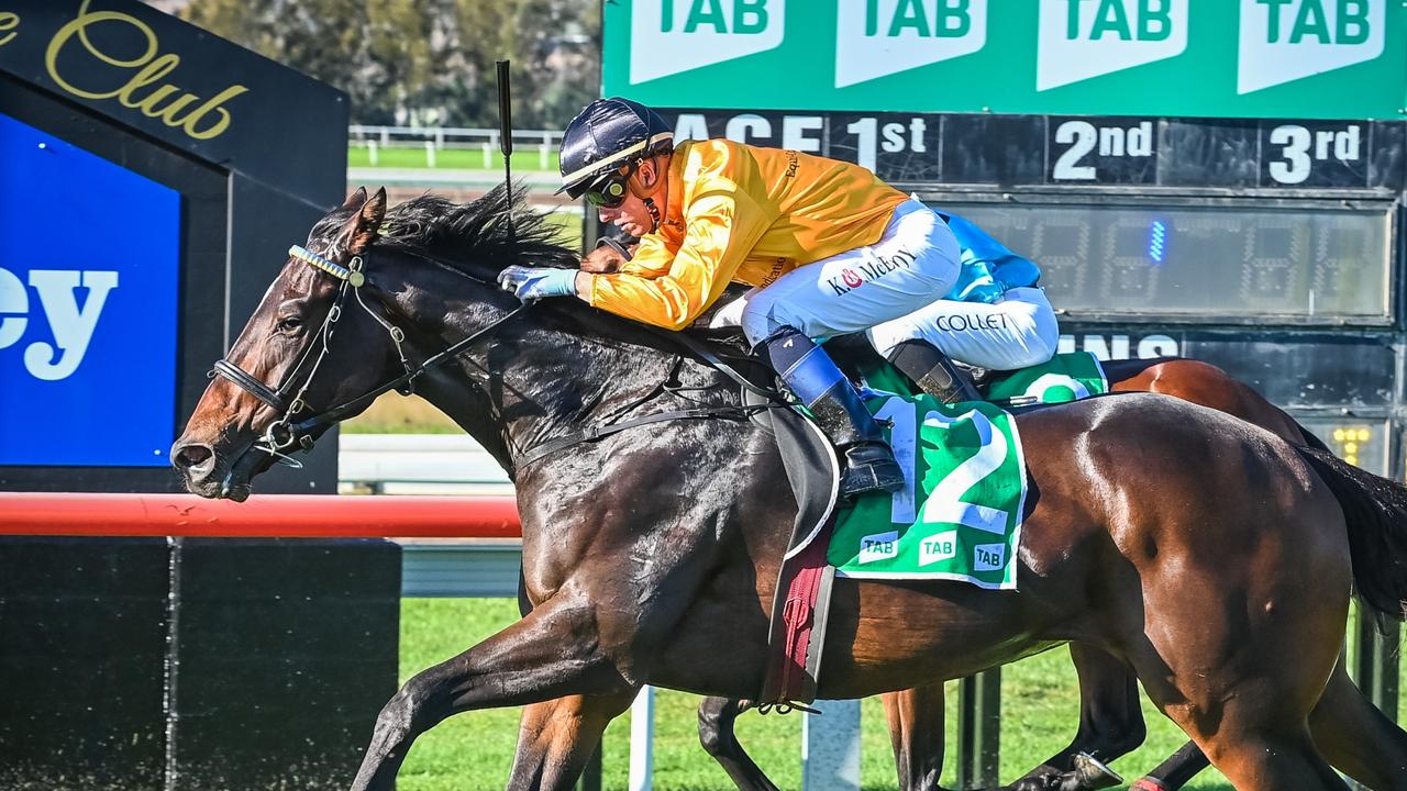 Crazy result in Luskin Star as Andermatt falters - Racenet