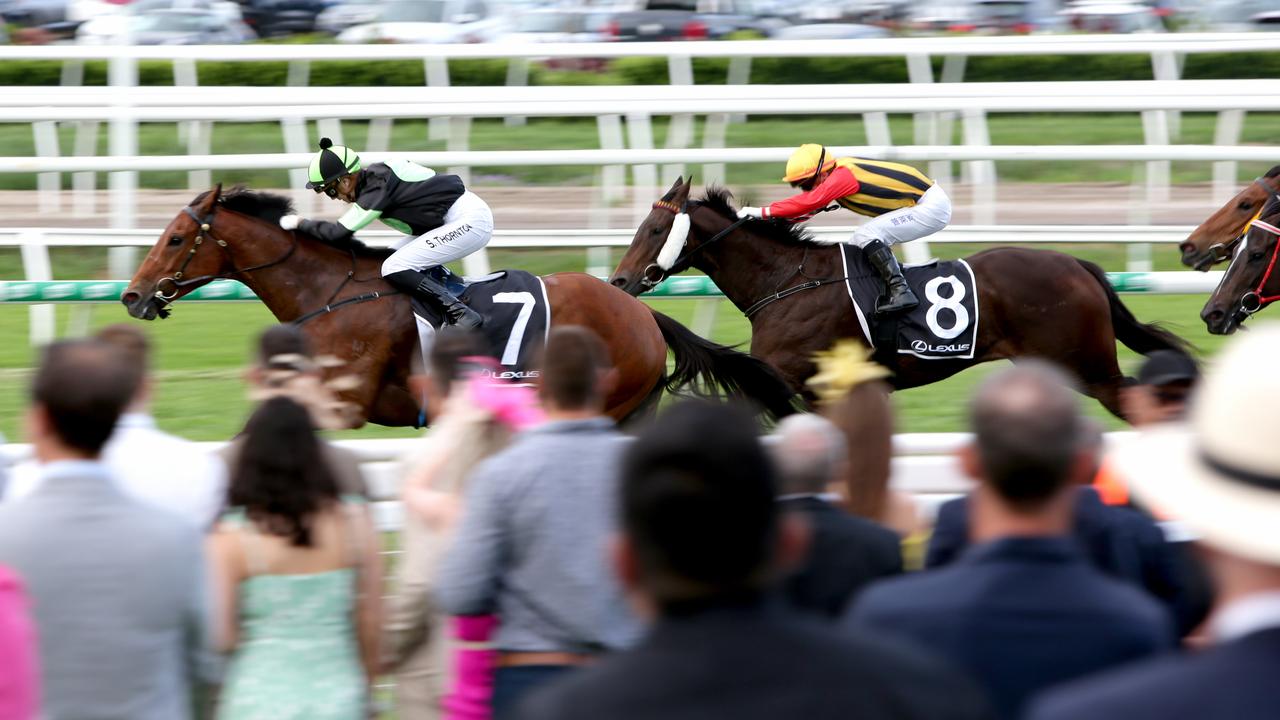 All eyes on Eagle Farm this Saturday - Racenet