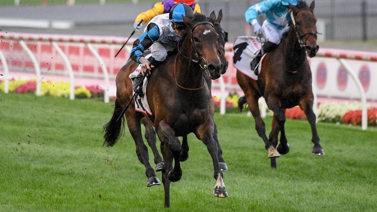 Mascot out to fly longer in spring - Racenet