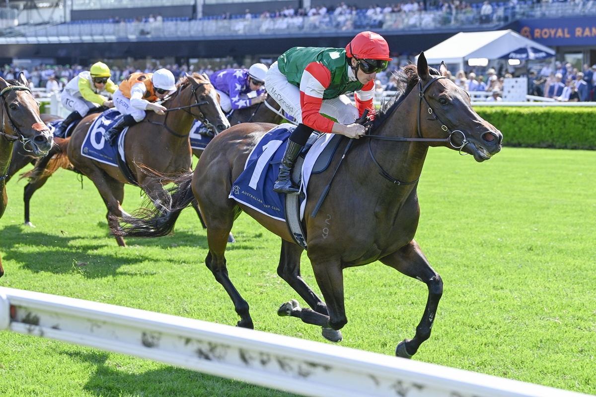 2025 Coolmore Classic Field