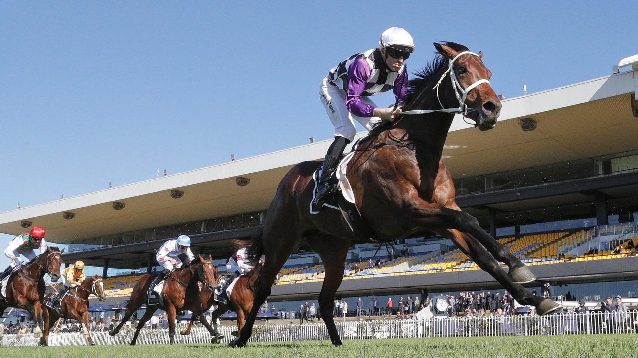 Waller unearths potential star as debutant bolts in at $14 - Racenet
