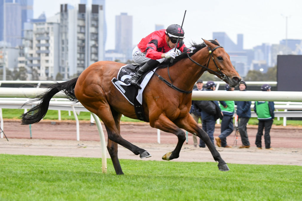 Melbourne Cup 2025 Horses | Horse Details With Tips & Odds | Racenet