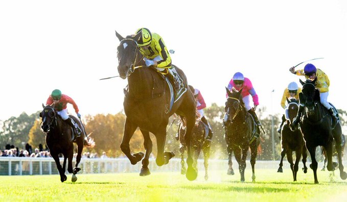 WA Oaks 2025 Tips, Betting & Results - Racenet