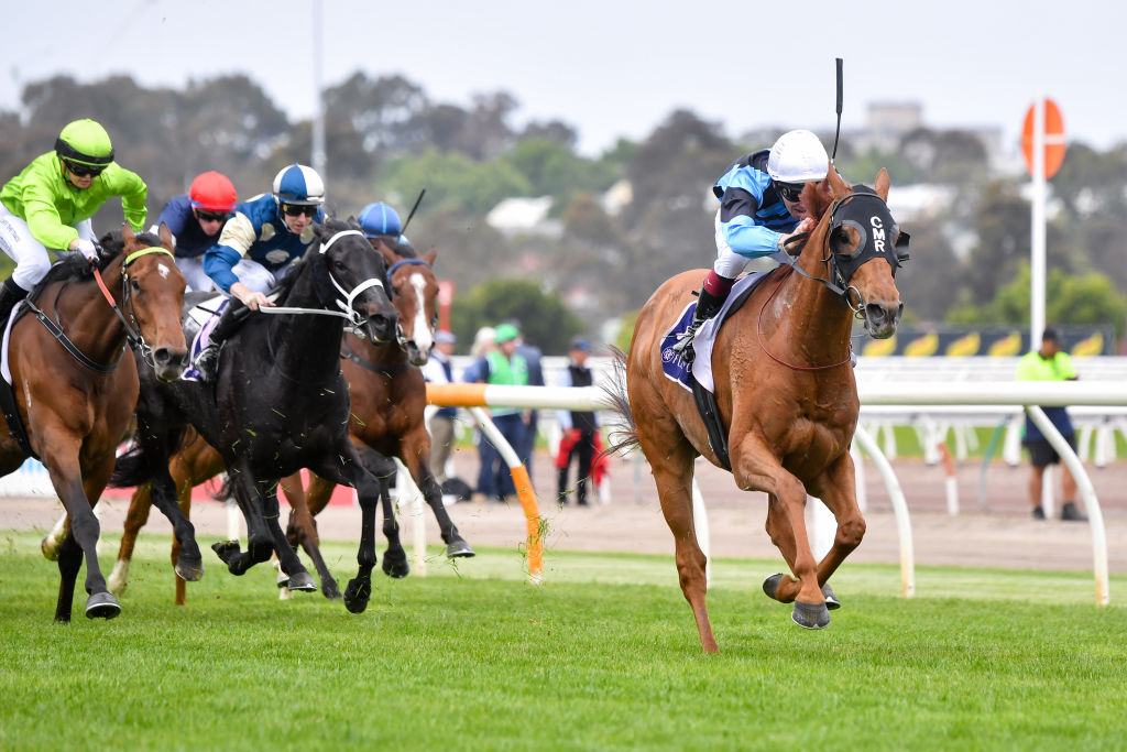 2024 Pakenham Cup Field