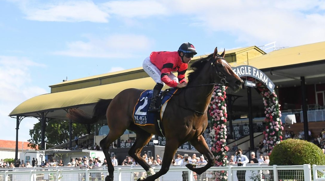 2026 Magic Millions 3YO Guineas Field