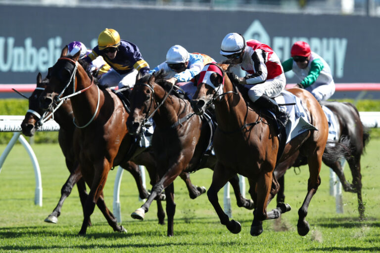 The Ingham 2023 Tips, Betting & Results - Racenet