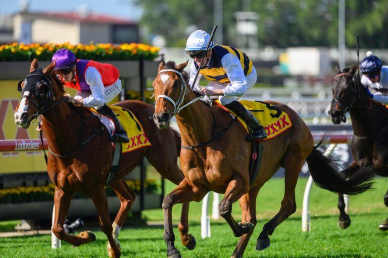 Brisbane Cup 2024 Tips, Betting & Results - Racenet