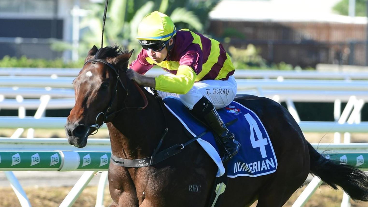 The Q22 2023 | Tips, Odds, Field & Results | Racenet